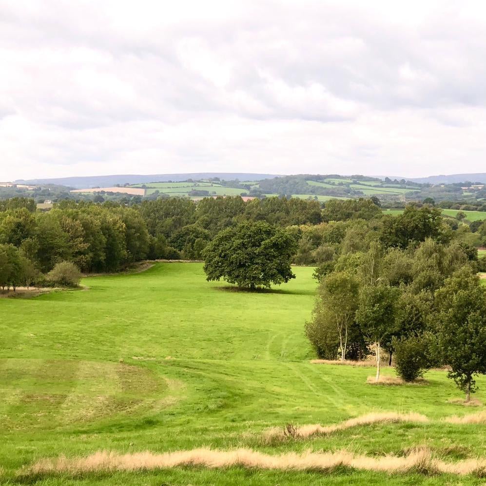 Deri Llewellyn-Davies on Strategy & Growth | Vestd